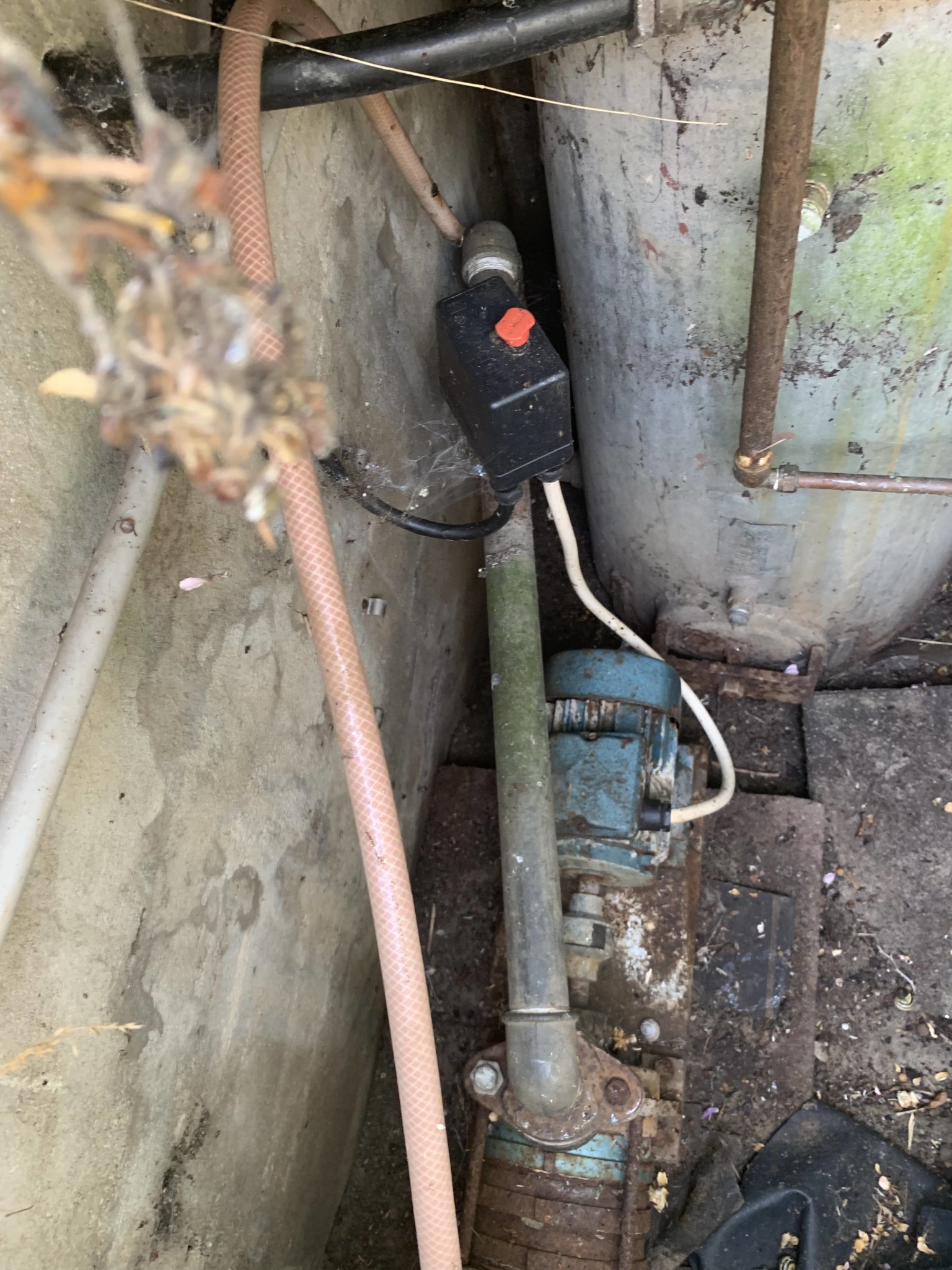 Kan man återuppliva en gammal brunn? | Byggahus.se