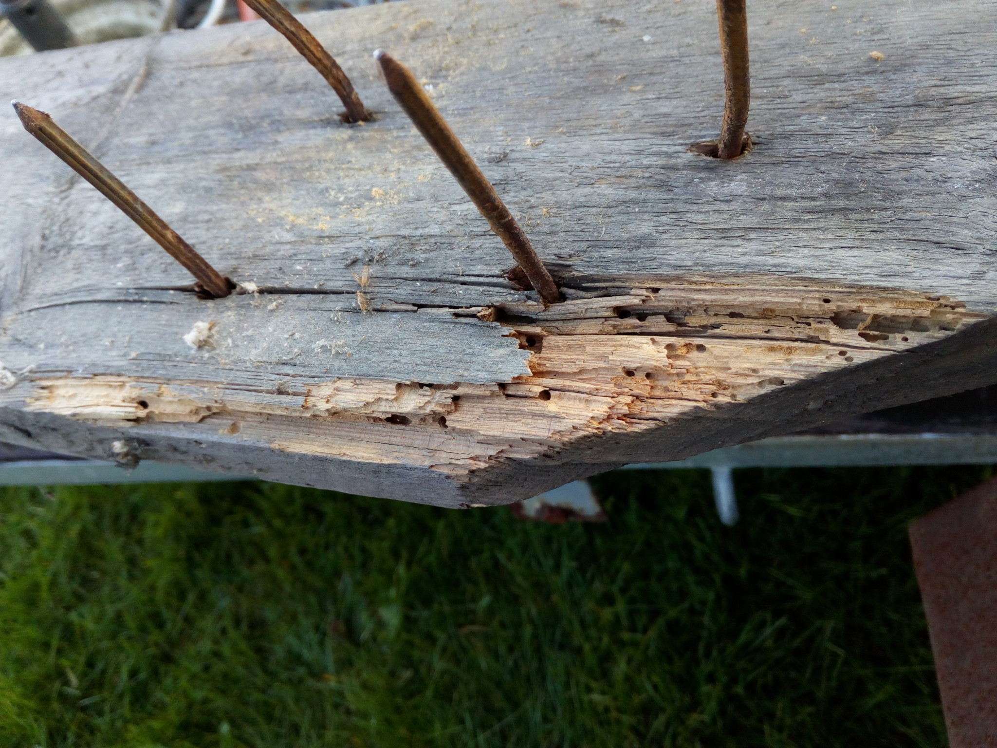 Angripna takstolar i garage, vad är detta? | Byggahus.se