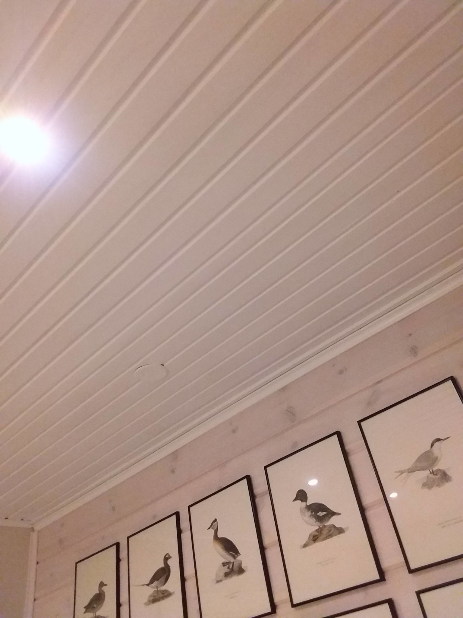 Panel till innertak, omöjlig dimension | Byggahus.se