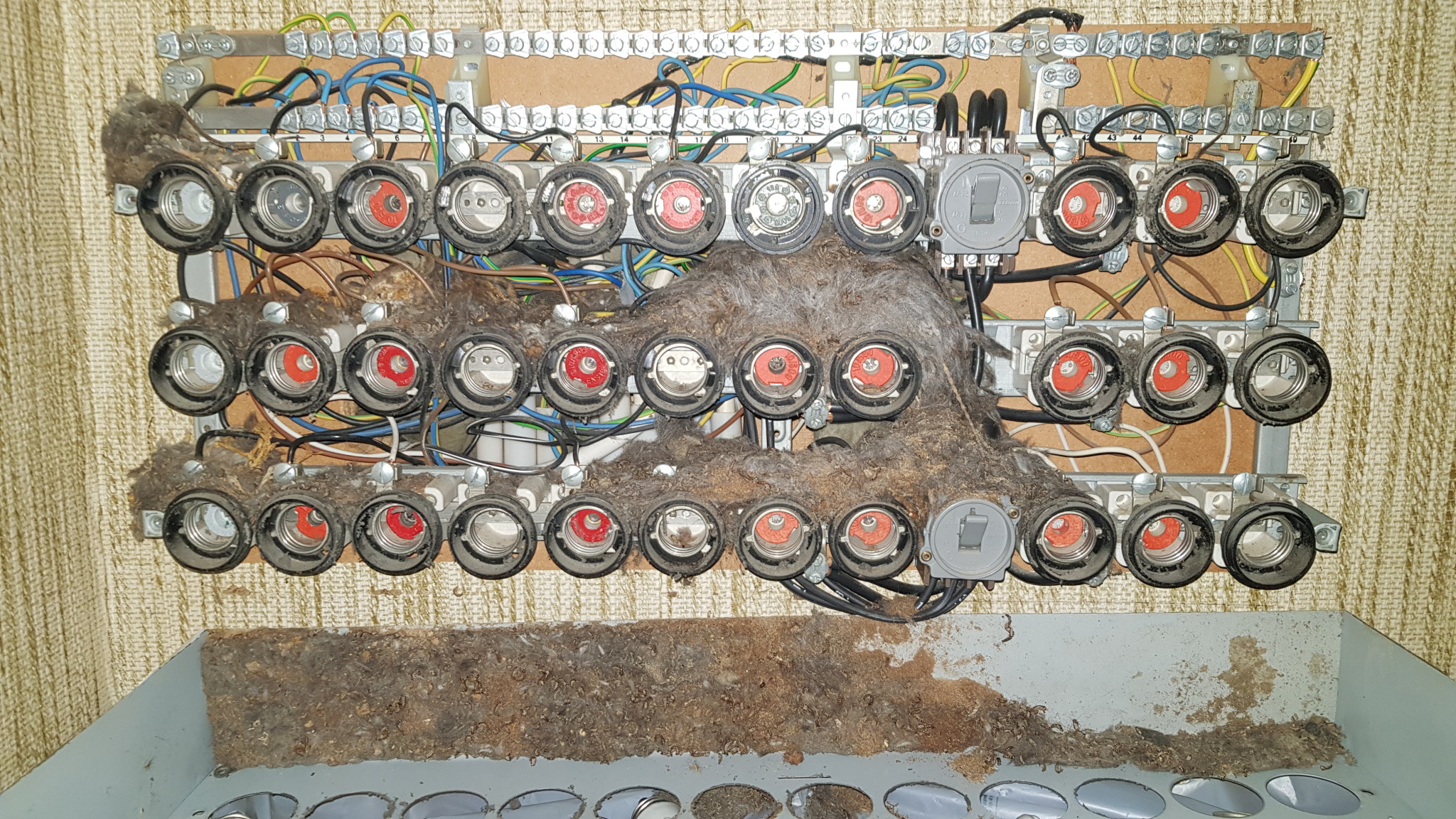 Musbo i elcentral | Byggahus.se