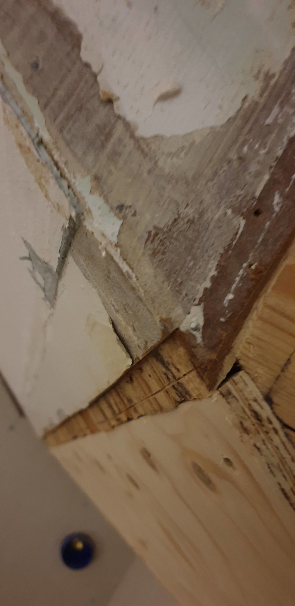 Spackla masonit | Byggahus.se