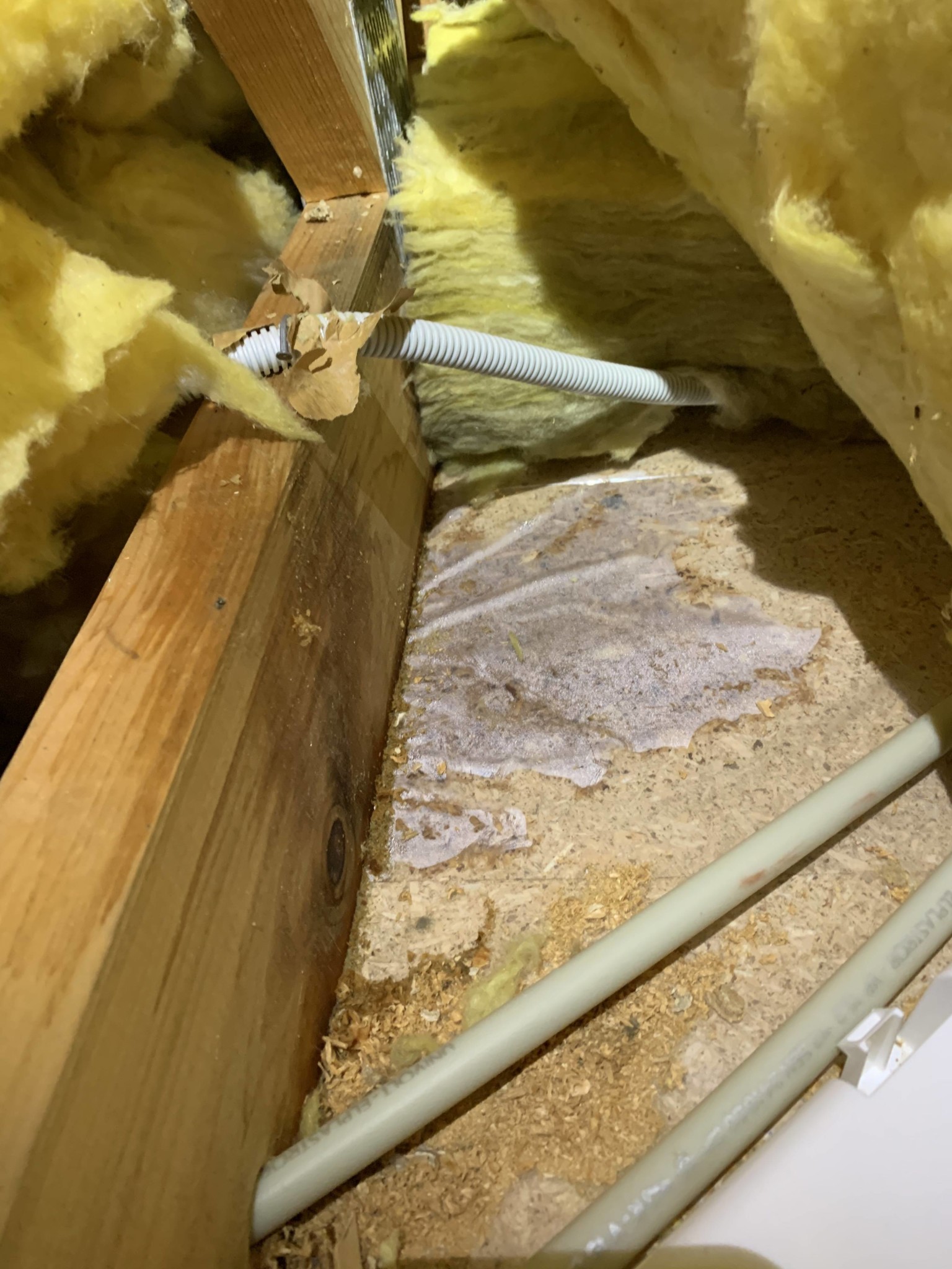 Kondens mellan ångspärr och spånskiva i tak - Kallvind | Byggahus.se