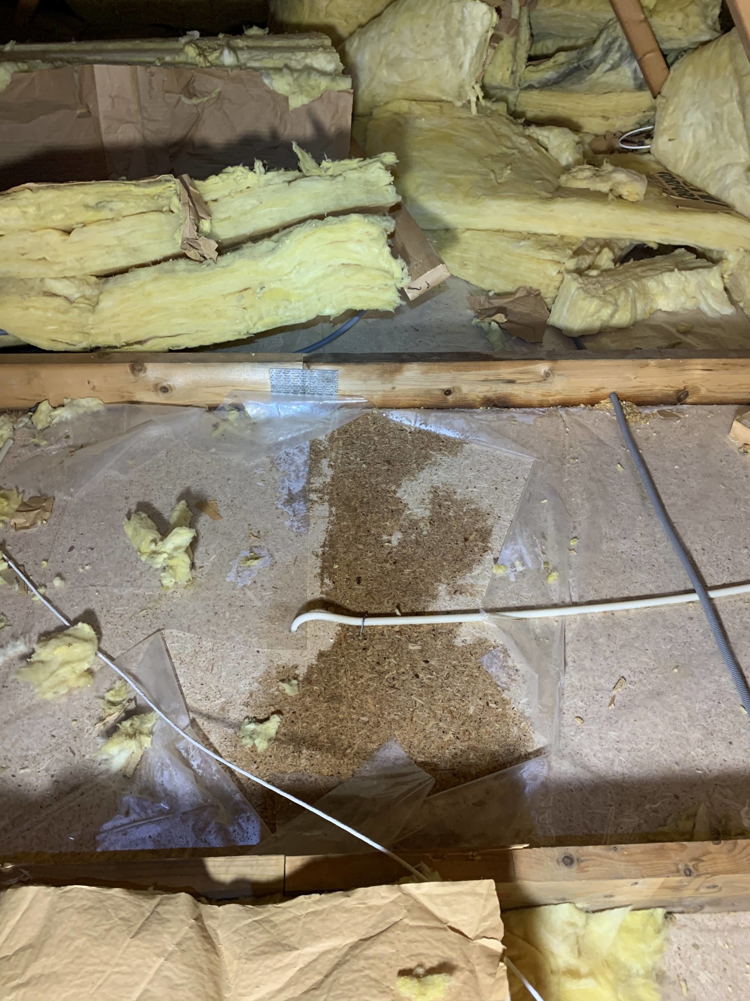 Kondens mellan ångspärr och spånskiva i tak - Kallvind | Byggahus.se