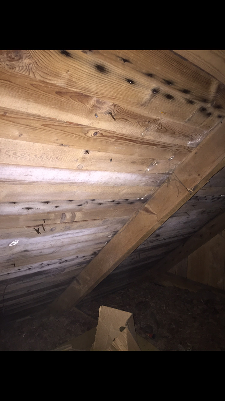 Fuktig kallvind | Byggahus.se