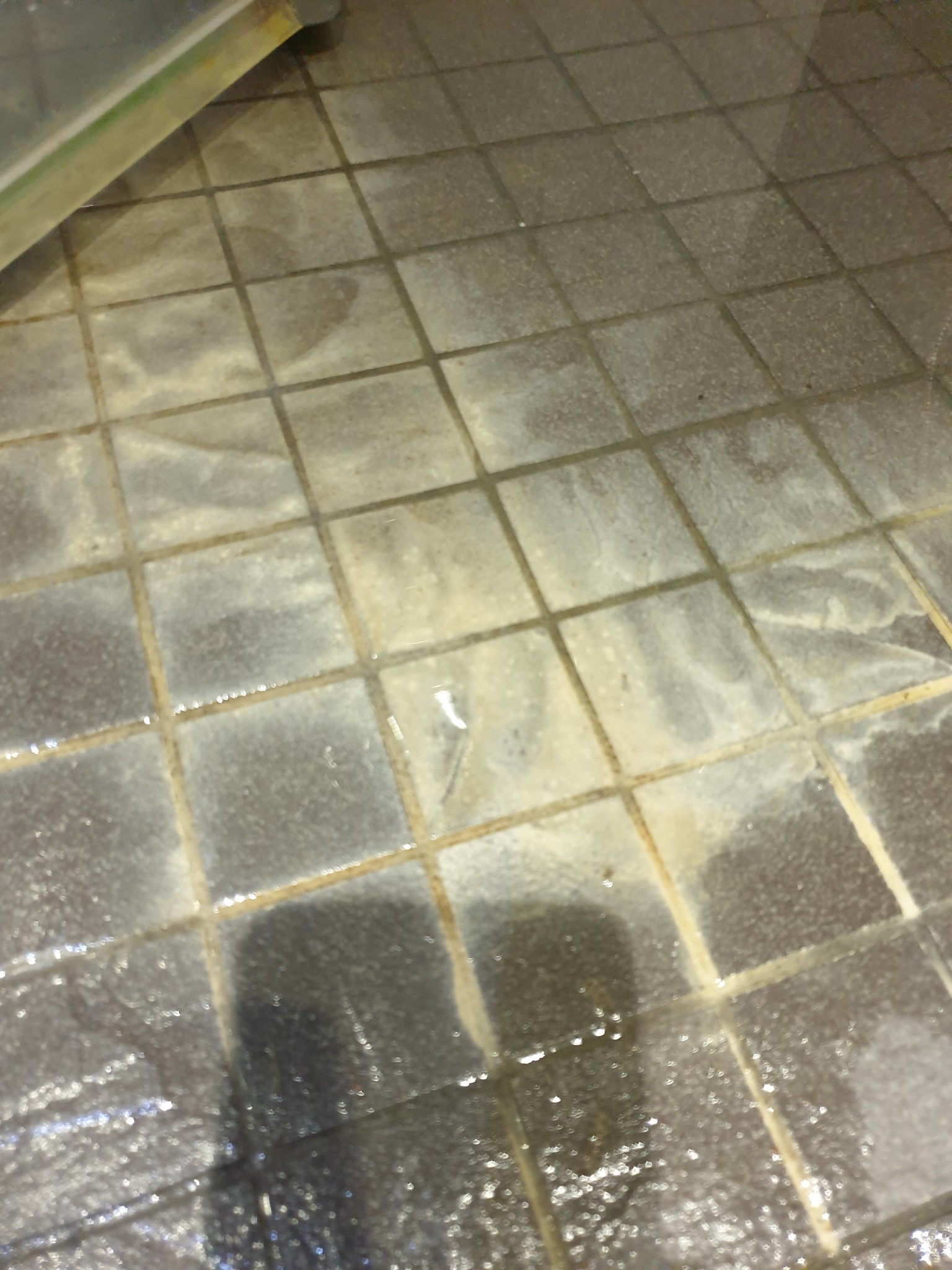 Kalkavlagring på badrumsgolv | Byggahus.se