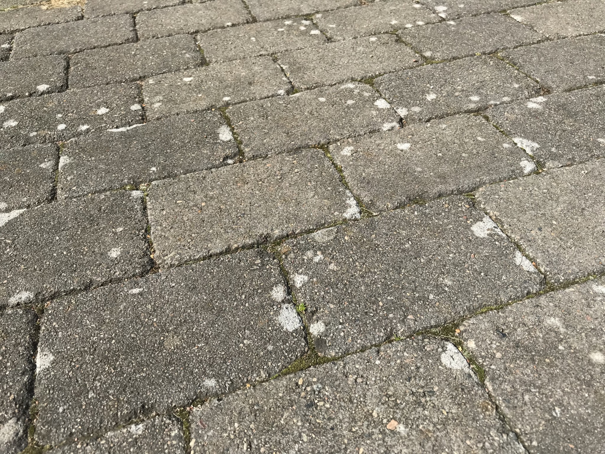 Ryobi Multiborste på byasten? | Byggahus.se