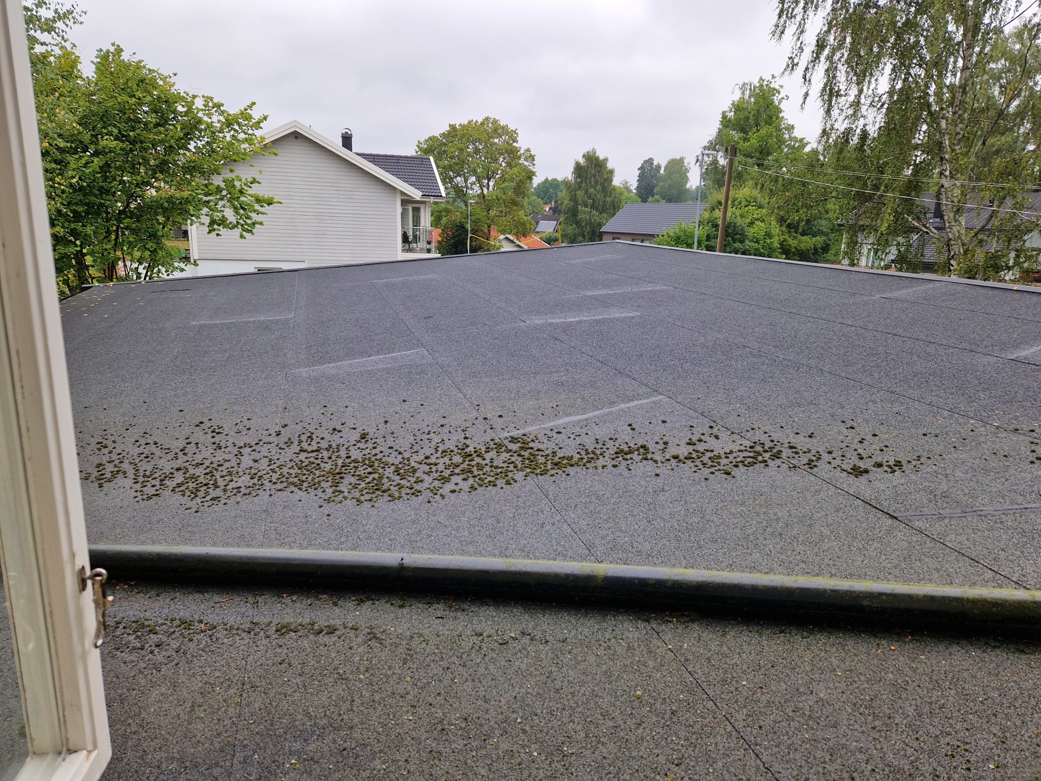 Genomspikad takpapp | Byggahus.se