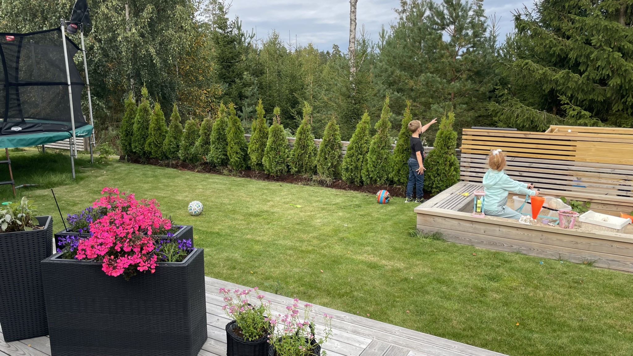 Planteringsråd Tujahäck | Byggahus.se