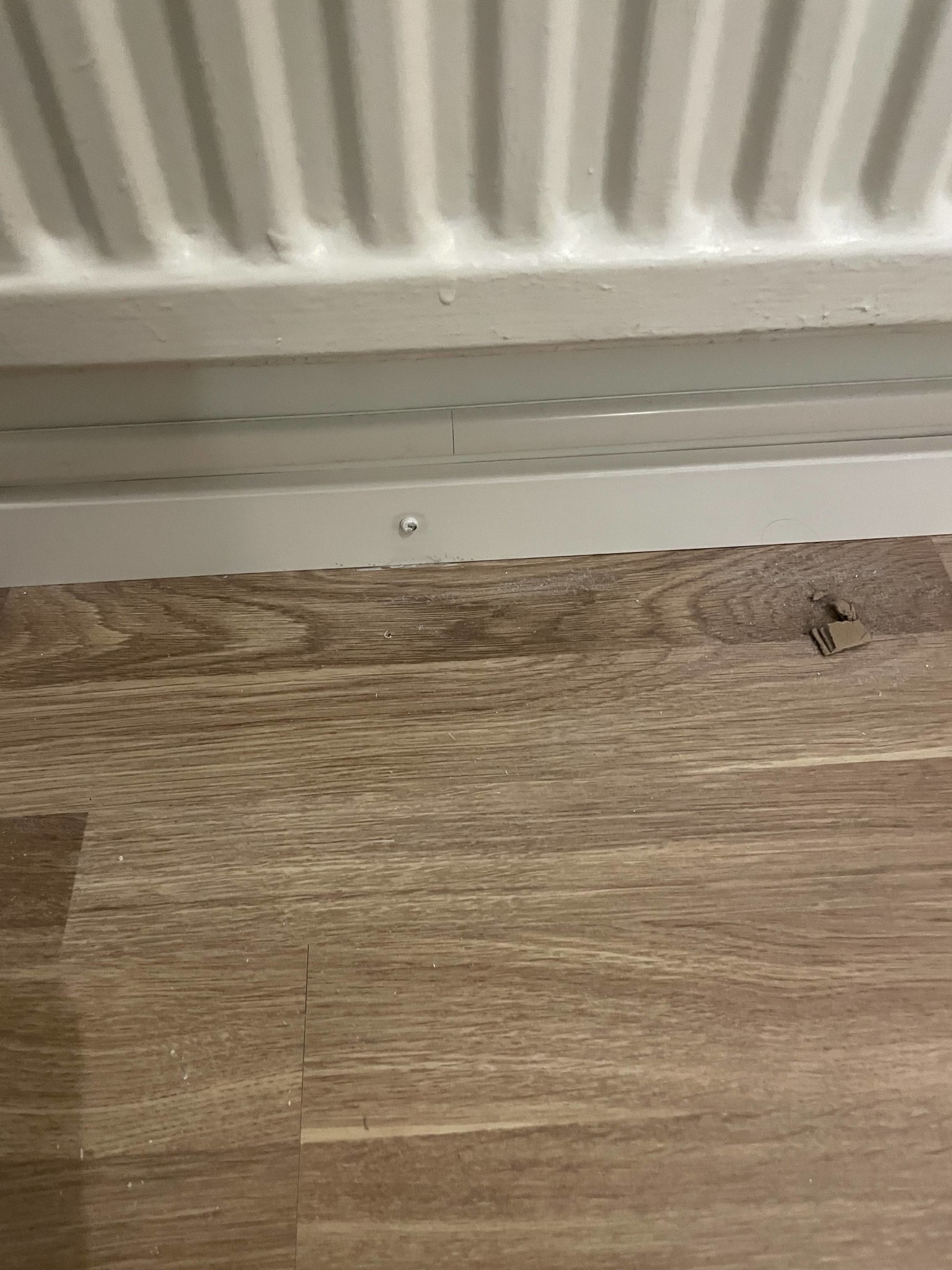 Golvlist med synliga skruvskallar | Byggahus.se