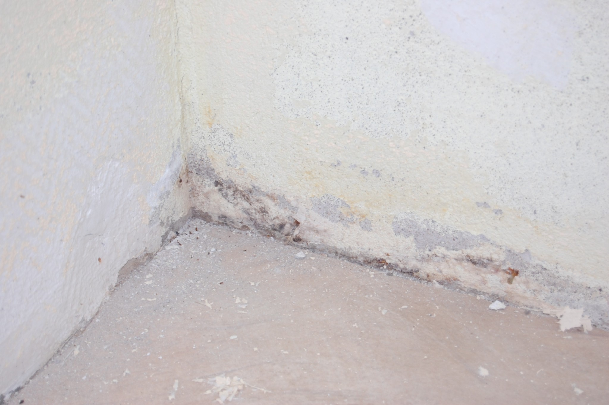 Renovering av källare, rum 1: Bortagning av tapeter, laga puts mm- råd ...