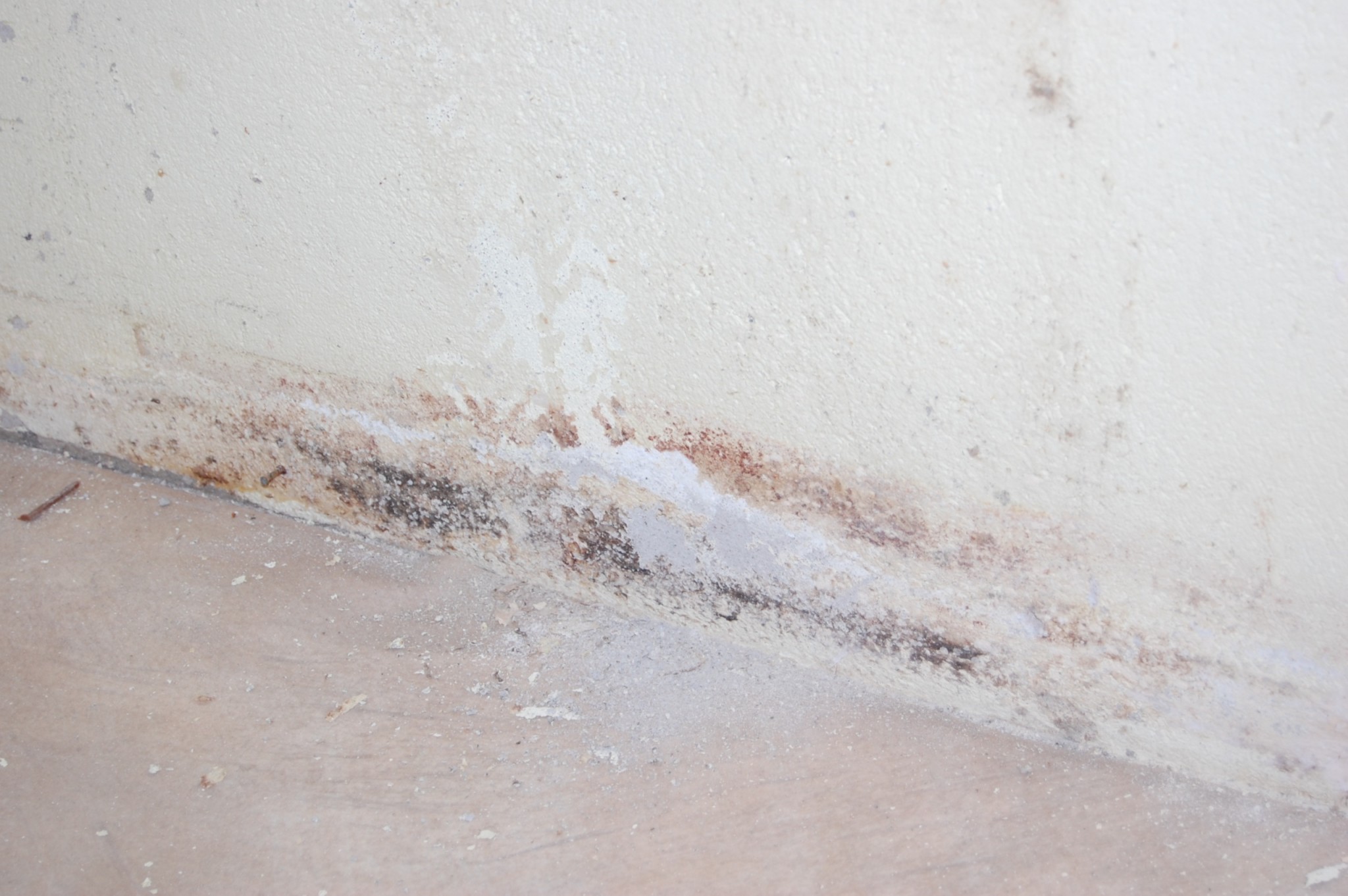 Renovering av källare, rum 1: Bortagning av tapeter, laga puts mm- råd ...