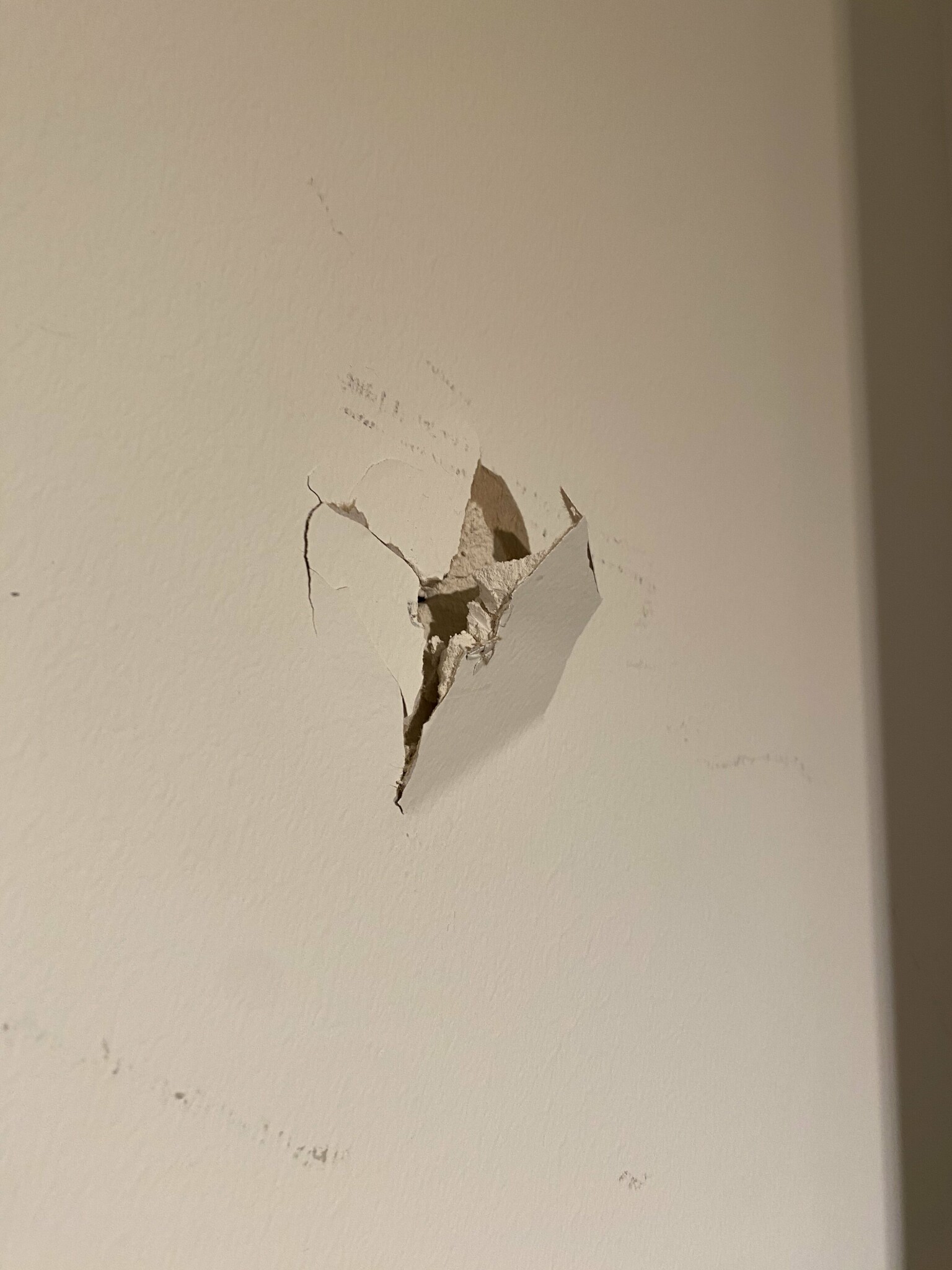 Mollyplugg har lossnat | Byggahus.se