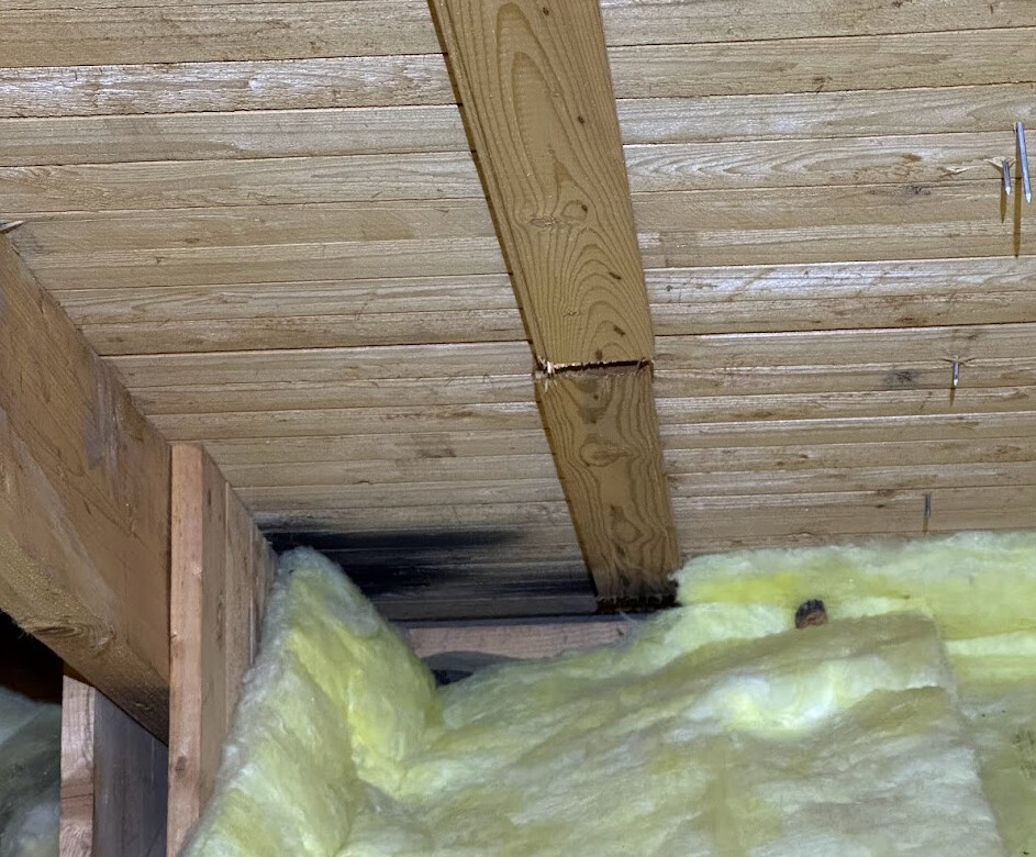 Mögel... Är detta katastrof? Vad kan jag göra? Ventilation på kallvind ...