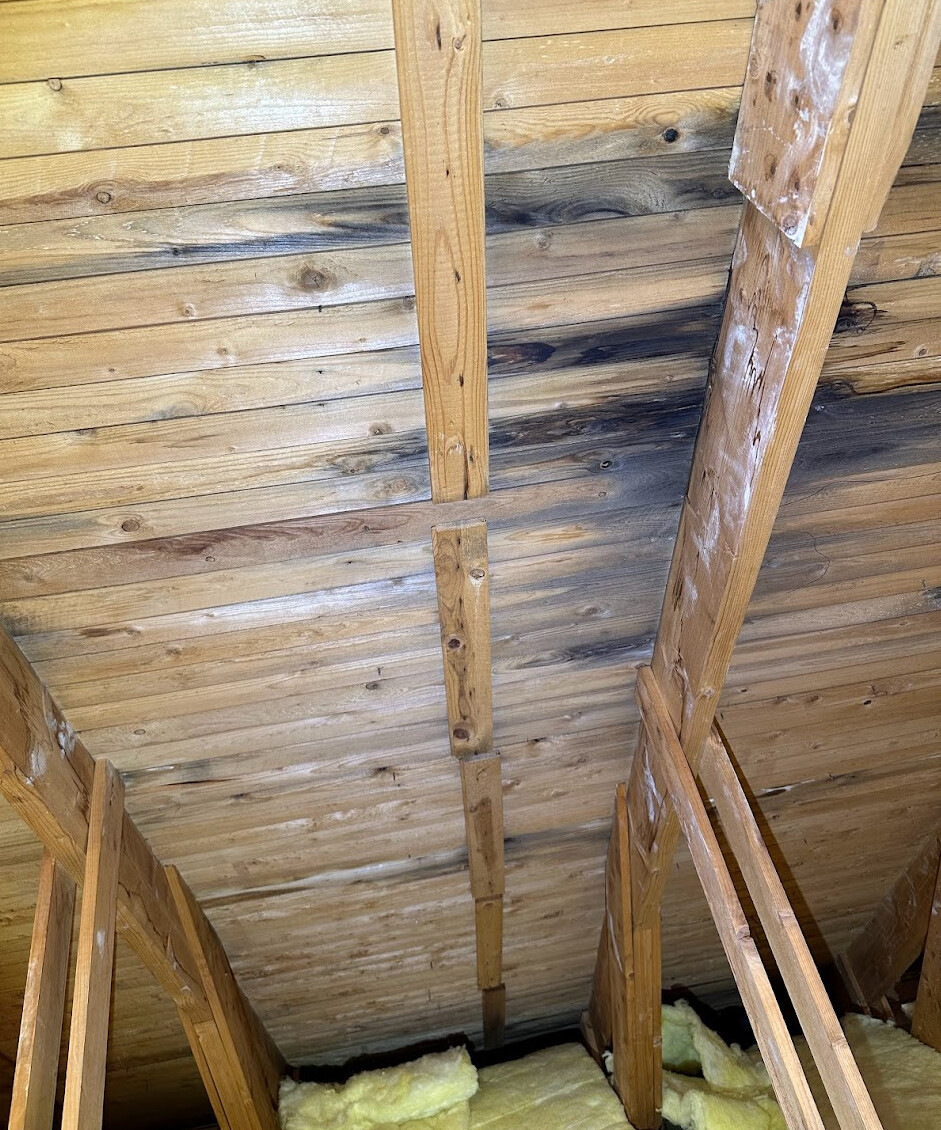 Mögel... Är detta katastrof? Vad kan jag göra? Ventilation på kallvind ...