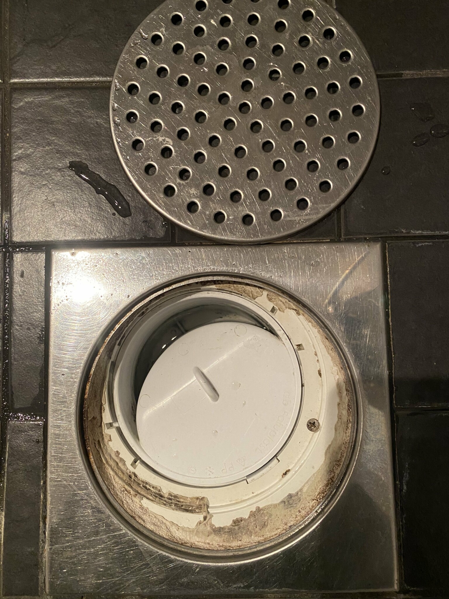 Kan ett dusch-avlopp vara så gott som underhållsfritt? | Byggahus.se