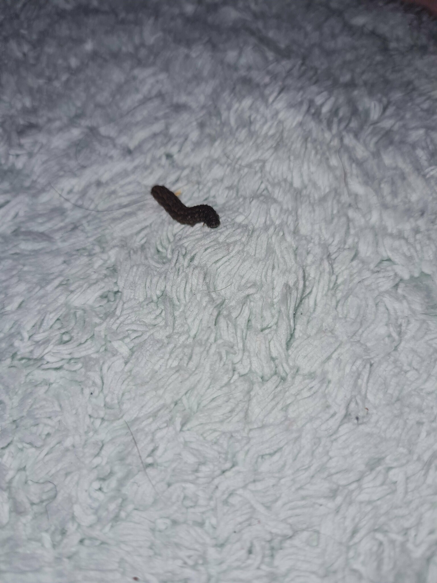 Vad är det för mask | Byggahus.se