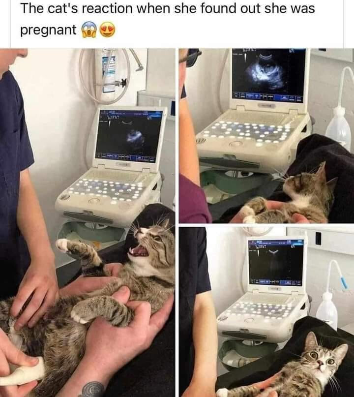 Humorhörnan ... | Sida 2121 | Byggahus.se