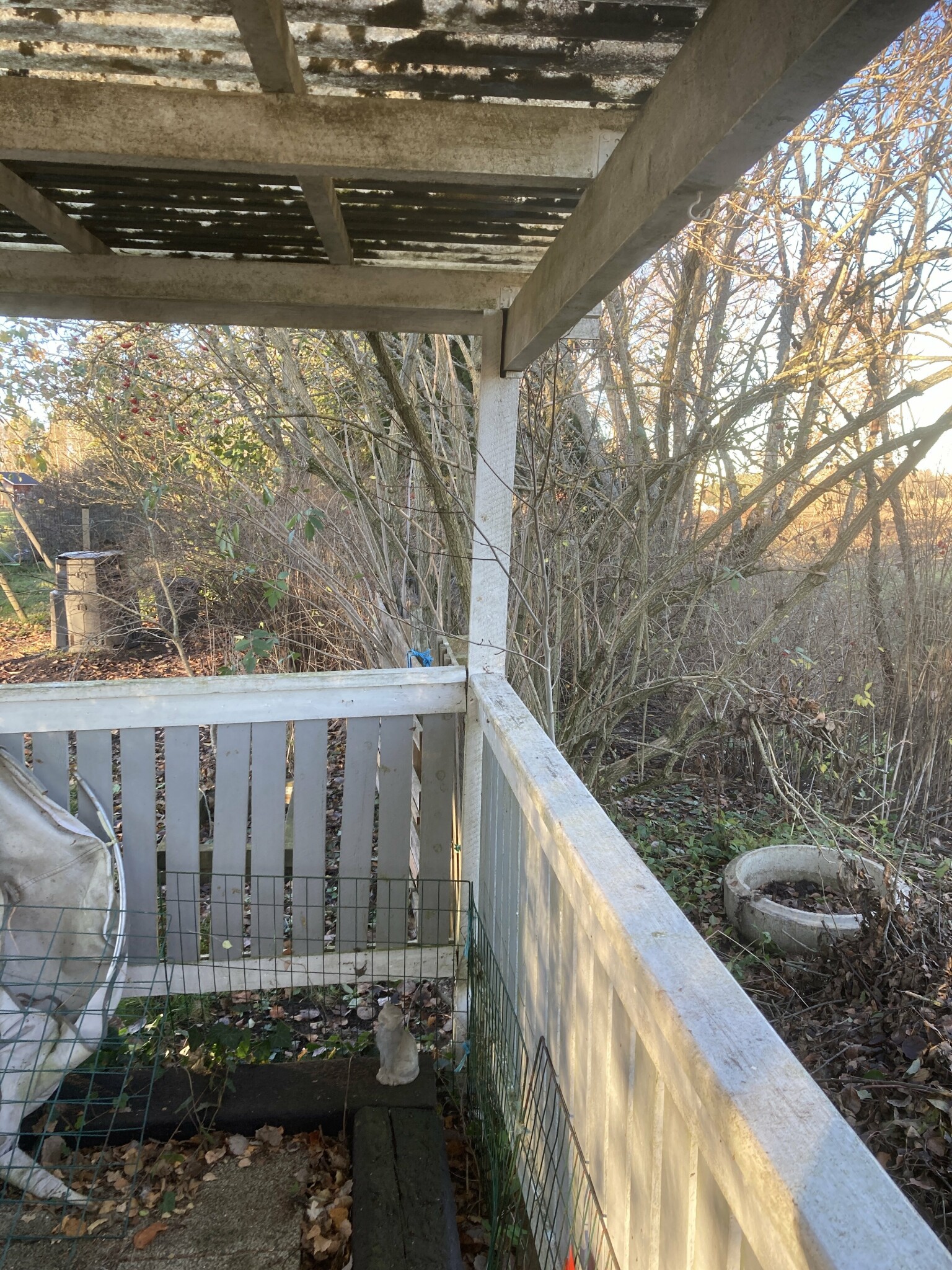 Lutande pergola med murken stolpe | Byggahus.se