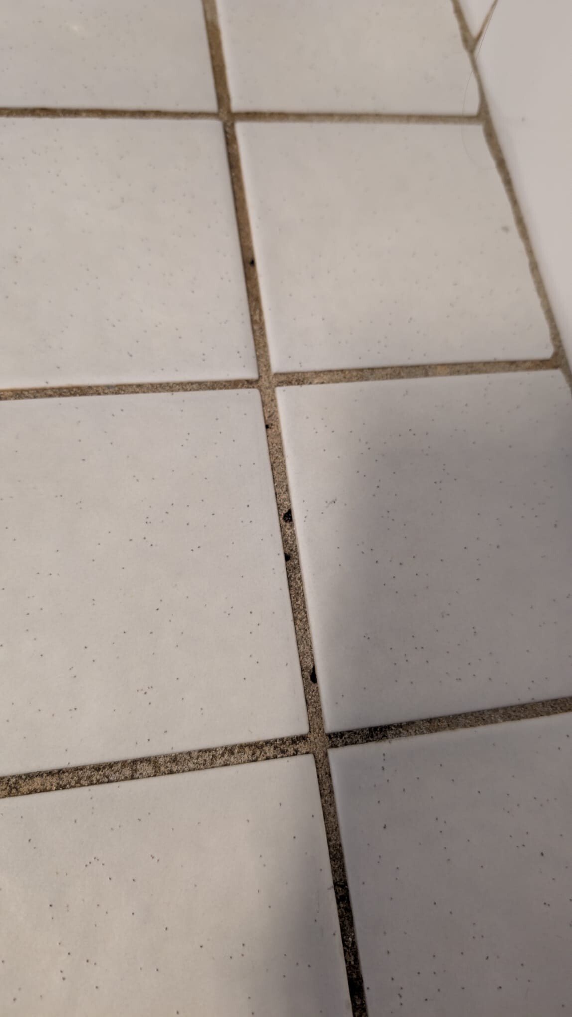 Kakelsprickor och fog badrum | Byggahus.se