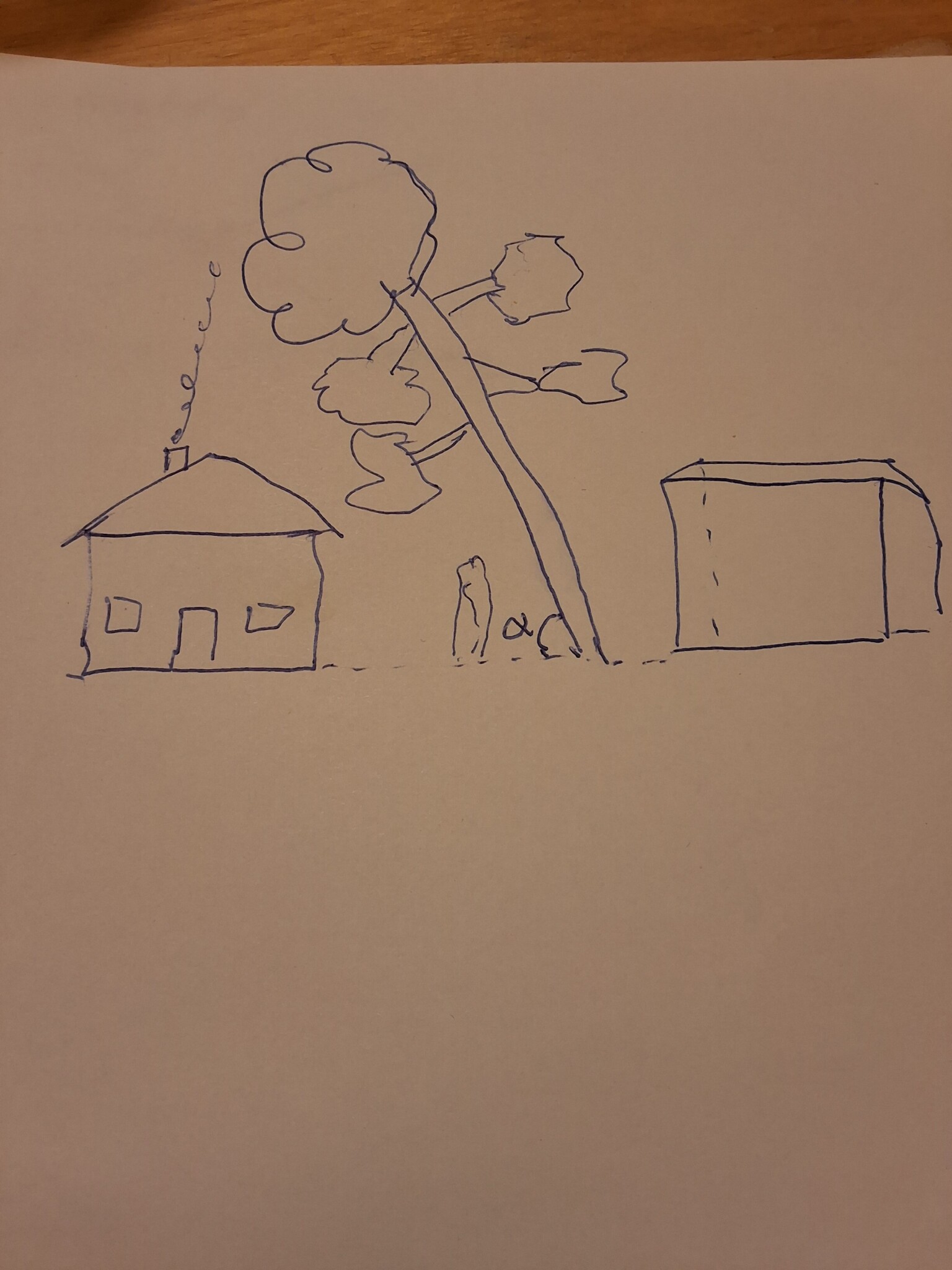 Grannens stora tall lutar över min tomt | Sida 2 | Byggahus.se