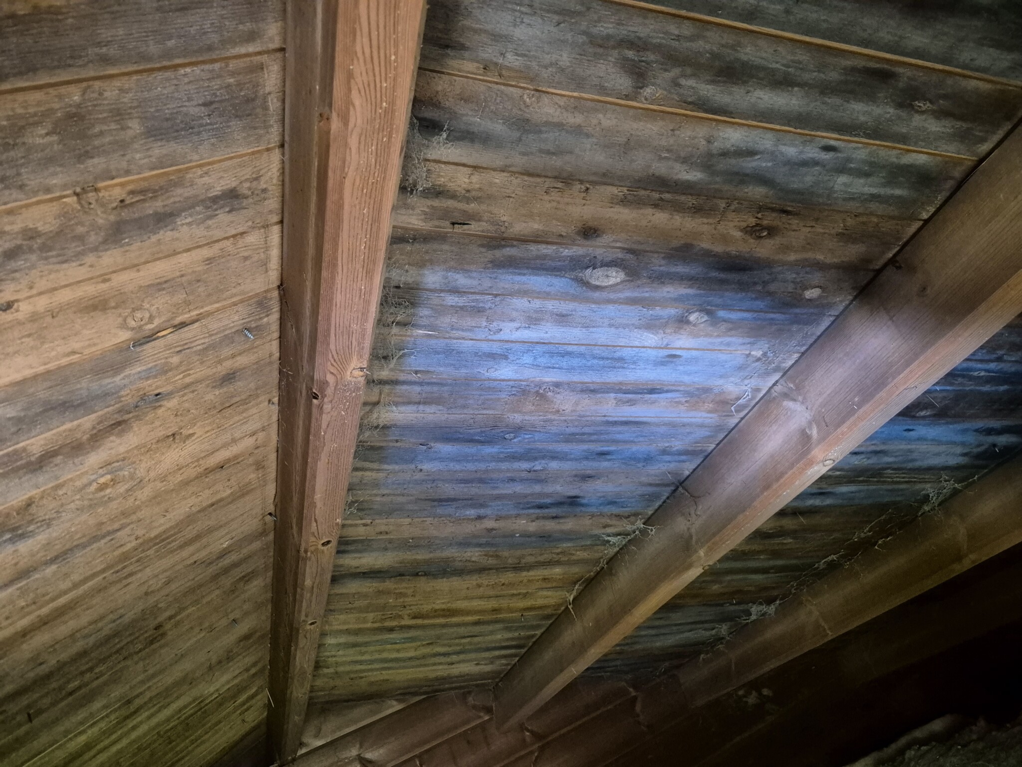 Solarventi på kallvind | Byggahus.se