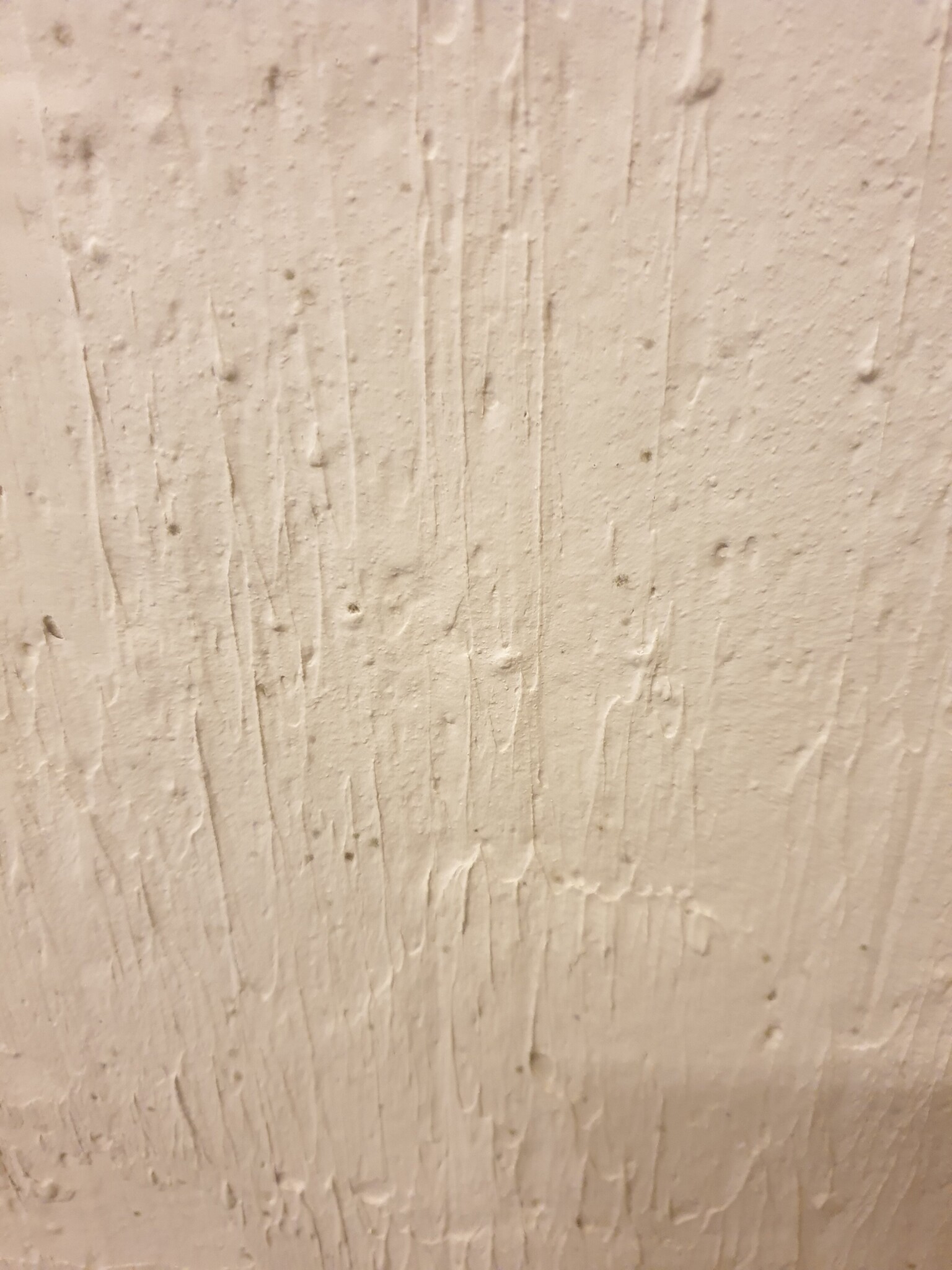 Gipsbruk och mögel | Byggahus.se