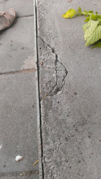 [BILD] Laga spicka mellan betongplatta och kantelement | Byggahus.se