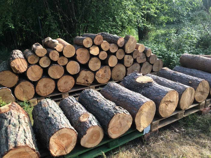 Ved användbar efter träbaggar varit på dem? | Byggahus.se