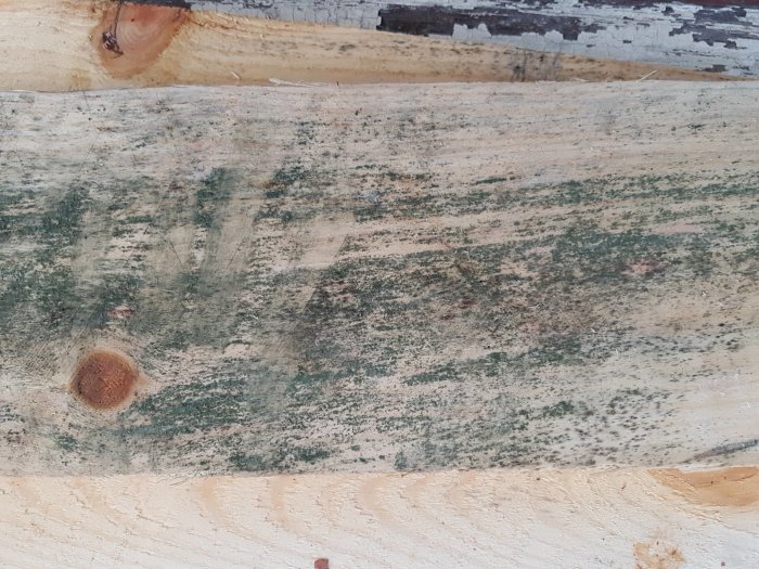 Mold on freshly sawn timber | Byggahus.se