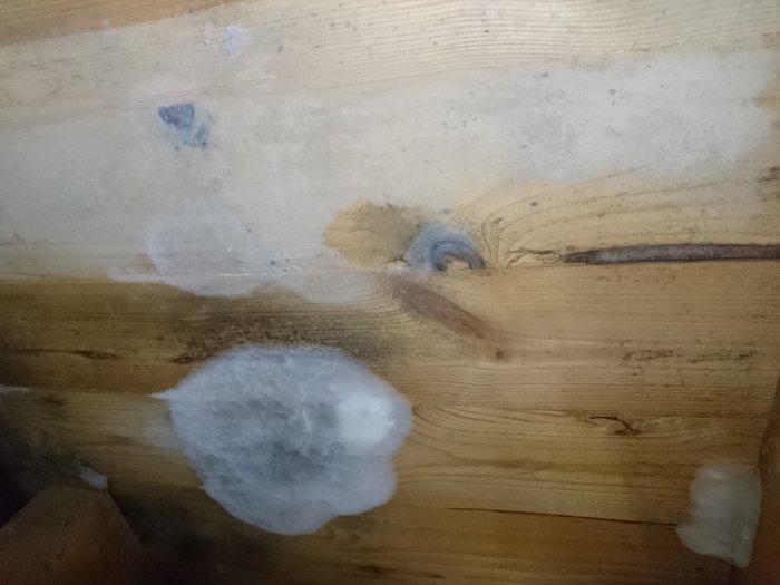 Mögel i taket på kallvind | Byggahus.se