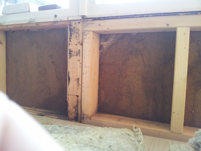 Replacing water damage (Pictures) | Byggahus.se