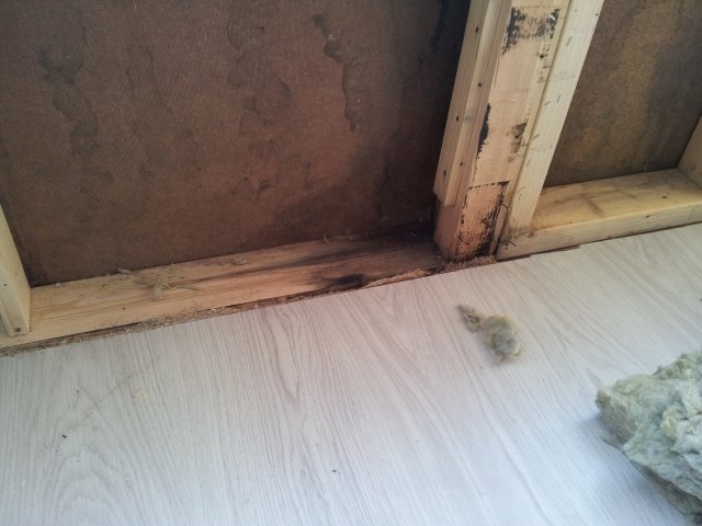 Replacing water damage (Pictures) | Byggahus.se