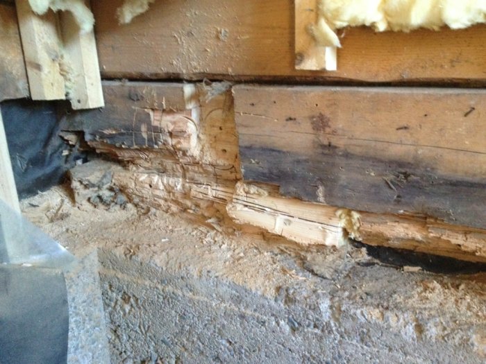 Rot in sill and some part of log/plank | Byggahus.se