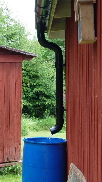 Video: Regnvatten rinner ner i tunna | Byggahus.se