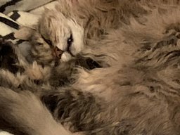 Mikael Ekdahl - medlem | Byggahus.se